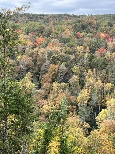 Best Hikes and Trails in Scott State Forest | AllTrails