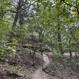Cross Timbers Hiking Trail, Texas - 1,327 Reviews, Map | AllTrails