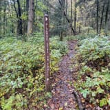 Jacoby Falls Trail, Pennsylvania - 583 Reviews, Map | AllTrails