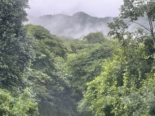 Best Hikes and Trails in Diria National Park | AllTrails