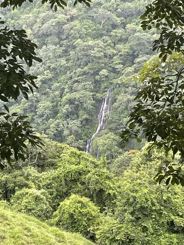 Best Hikes and Trails in Diria National Park | AllTrails