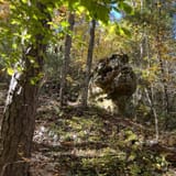 Koomer Ridge Trail, Kentucky - 603 Reviews, Map | AllTrails