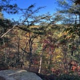Koomer Ridge Trail, Kentucky - 603 Reviews, Map | AllTrails