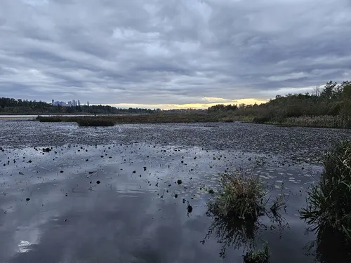 Best Hikes and Trails in Burnaby Lake Regional Park | AllTrails