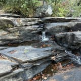 Cheaha Wilderness 30 Mile Loop, Alabama - 75 Reviews, Map | AllTrails