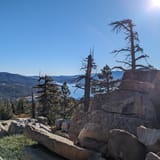 Grays Peak Trail, California - 1,130 Reviews, Map | AllTrails