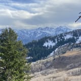 Gobblers Knob via Alexander Basin Trail, Utah - 597 Reviews, Map ...