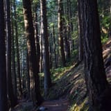 Panorama Ridge, British Columbia, Canada - 2,403 Reviews, Map | AllTrails