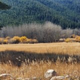 Caribou Ranch Trail, Colorado - 1,419 Reviews, Map | AllTrails