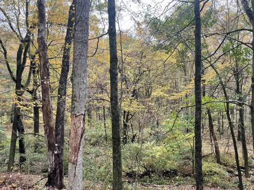 Best Hikes and Trails in Whippoorwill Park | AllTrails