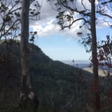 Mount Superbus Trail, Queensland, Australia - 57 Reviews, Map | AllTrails
