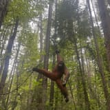 Hanmer Forest Sculpture Walk, Canterbury, New Zealand - 124 Reviews ...