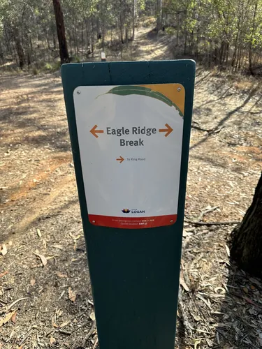 Best Views Trails in Spring Mountain Forest Park | AllTrails