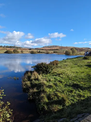 Best Forest Trails in Dunblane | AllTrails