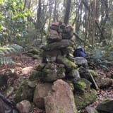 Mount Superbus Trail, Queensland, Australia - 57 Reviews, Map | AllTrails