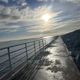 Deer Island Trail, Massachusetts - 648 Reviews, Map | AllTrails