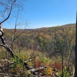 Cave Spring Loop Trail, Missouri - 323 Reviews, Map | AllTrails