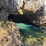 Cave Spring Loop Trail, Missouri - 323 Reviews, Map | AllTrails