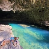 Cave Spring Loop Trail, Missouri - 323 Reviews, Map | AllTrails