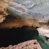Cave Spring Loop Trail, Missouri - 323 Reviews, Map | AllTrails