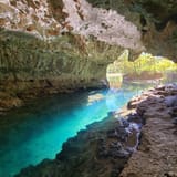 Cave Spring Loop Trail, Missouri - 323 Reviews, Map | AllTrails