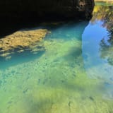 Cave Spring Loop Trail, Missouri - 323 Reviews, Map | AllTrails