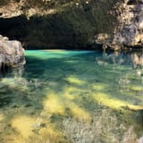 Cave Spring Loop Trail, Missouri - 367 Reviews, Map | AllTrails