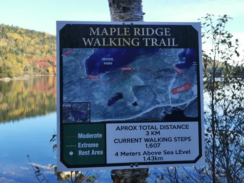 Best Forest Trails in Triton | AllTrails