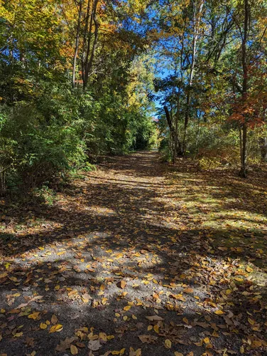 2023 Best River Trails in Scranton | AllTrails