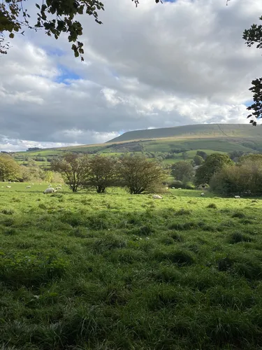 10 Best Walking Trails in Clitheroe | AllTrails