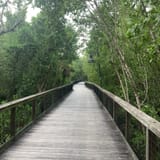 Gordon River Greenway, Florida - 910 Reviews, Map | AllTrails