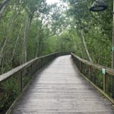 Gordon River Greenway, Florida - 910 Reviews, Map | AllTrails