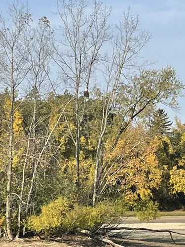 Best Hikes and Trails in Drayton Plains Nature Center | AllTrails