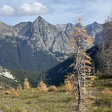 Maple Pass Trail, Washington - 7,612 Reviews, Map | AllTrails
