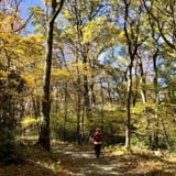 Cone Manor, Bass Lake, and The Maze Loop, North Carolina - 1,365 ...