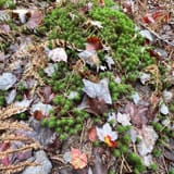 Sunset Rock, Vermont - 404 Reviews, Map | AllTrails