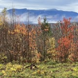 Sunset Rock, Vermont - 404 Reviews, Map | AllTrails