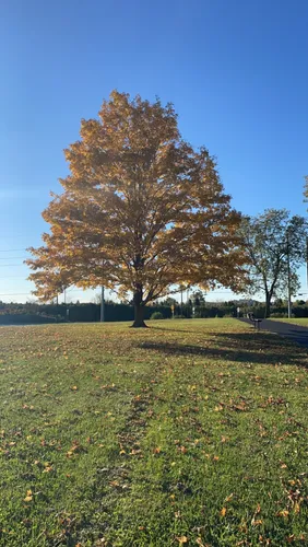 Best Hikes and Trails in Thomas O. Marsh Park | AllTrails