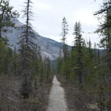 Emerald Lake Loop, British Columbia, Canada - 2,422 Reviews, Map ...