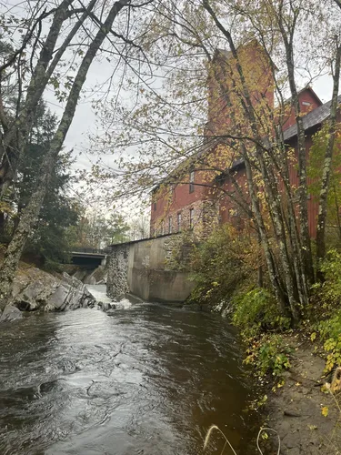 Best Hikes and Trails in Old Mill Park | AllTrails