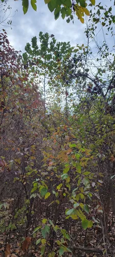 Best Hikes and Trails in Lake Manawa State Park | AllTrails