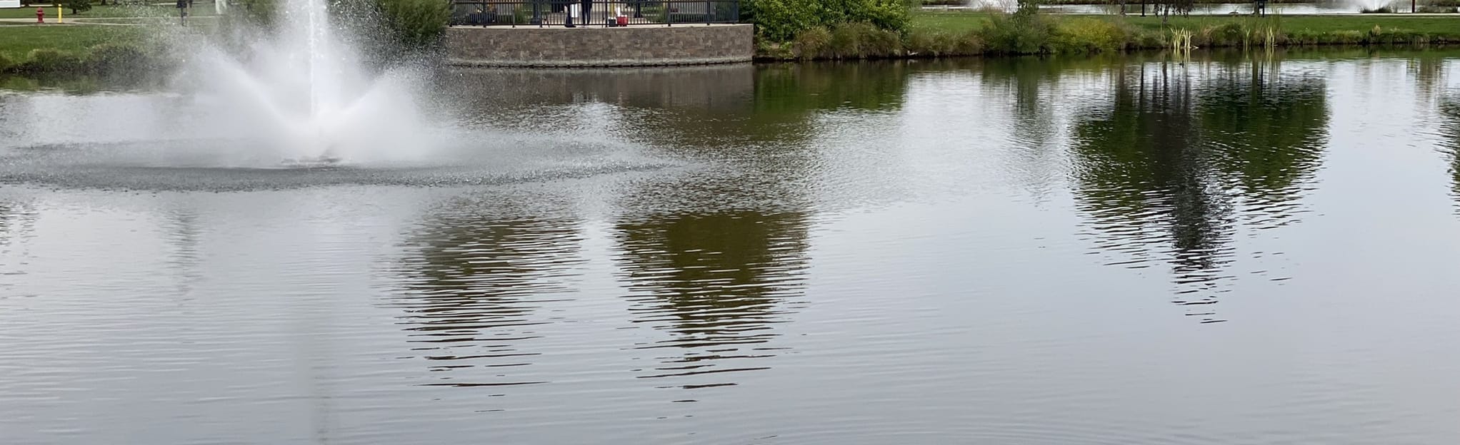 Kleiner Park Trails: 145 Reviews, Map - Idaho | AllTrails