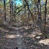 Rocky Point Trail, New York - 665 Reviews, Map | AllTrails