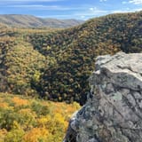 Seneca Rocks Trail, West Virginia - 2,615 Reviews, Map | AllTrails
