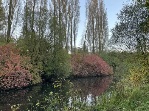 Best Hikes and Trails in Fens Pool Local Nature Reserve | AllTrails