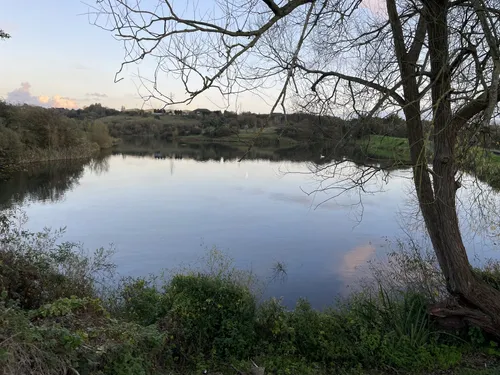 Best Hikes and Trails in Fens Pool Local Nature Reserve | AllTrails