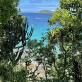 Lind Point Trail to Honeymoon Beach, Saint John, US Virgin Islands ...