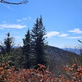 Andrews Bald Trail, North Carolina - 2,325 Reviews, Map | AllTrails