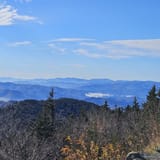 Andrews Bald Trail, North Carolina - 2,325 Reviews, Map | AllTrails