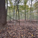 Emerson Woods Preserve Oradell Reservoir, New Jersey - 343 Reviews, Map ...